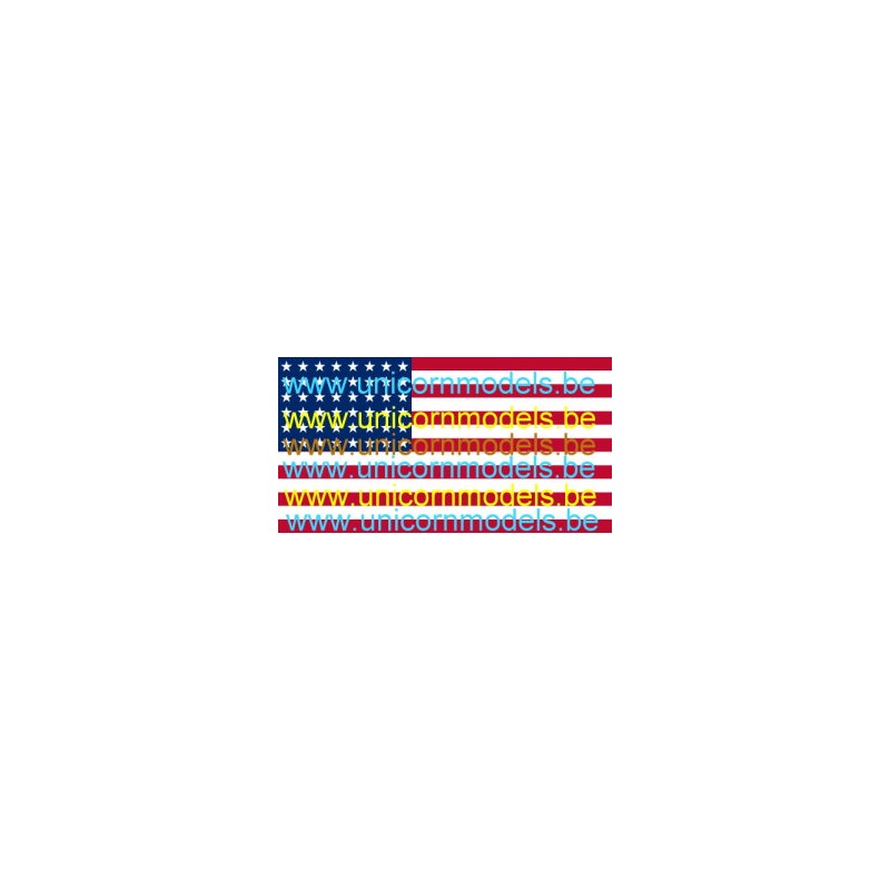 US 48 star flag